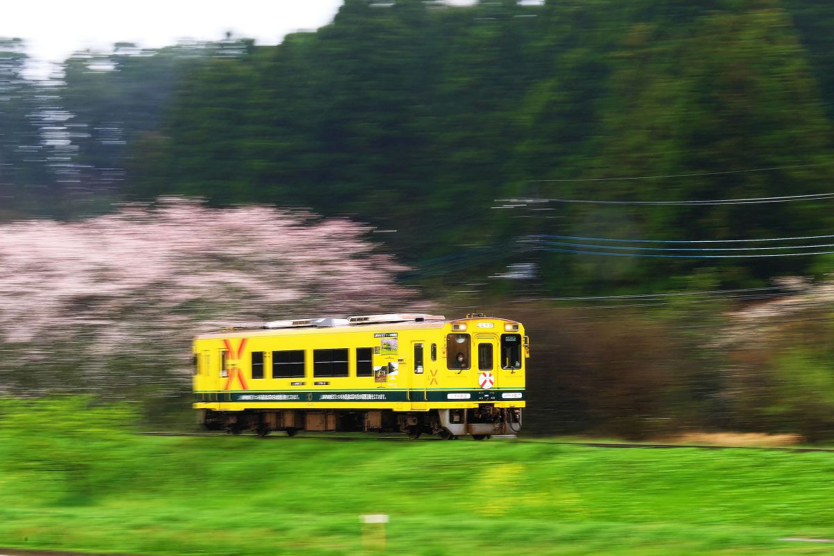 いすみのチョロQ | GANREF