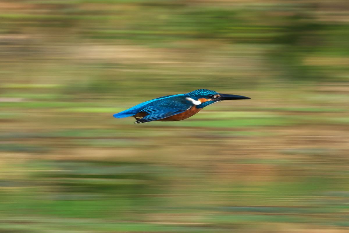 A warp‼️ | GANREF