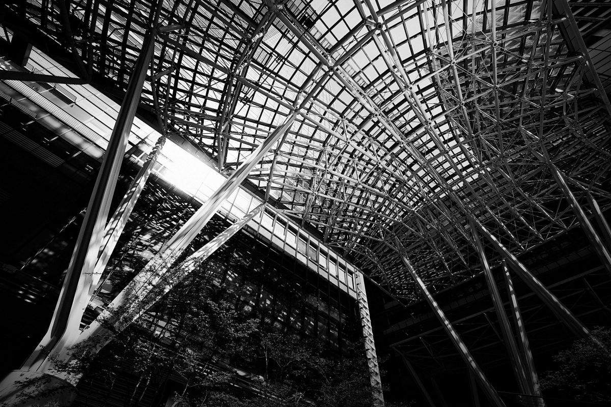 the bone identity | GANREF