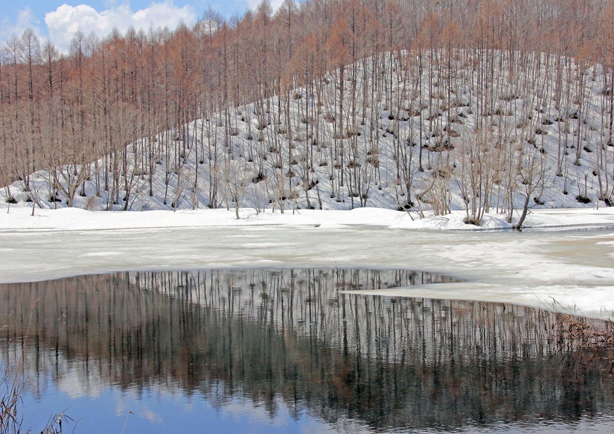 なごり雪 | GANREF