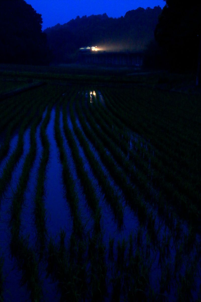 日暮れて | GANREF