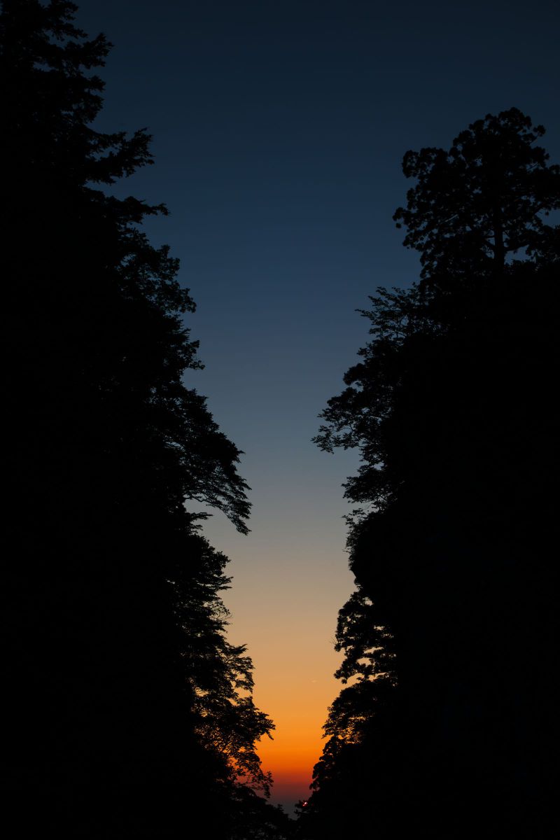 Dramatic Final | GANREF