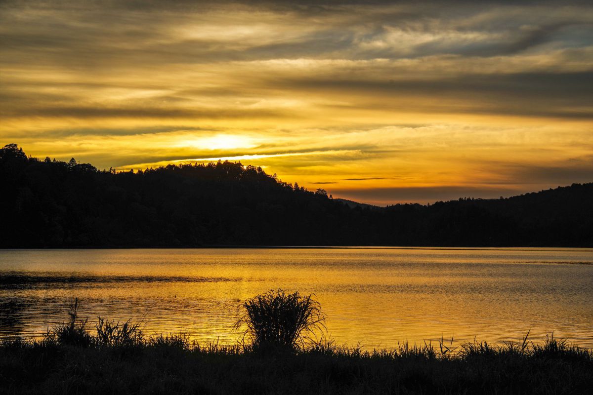 Golden sunset | GANREF