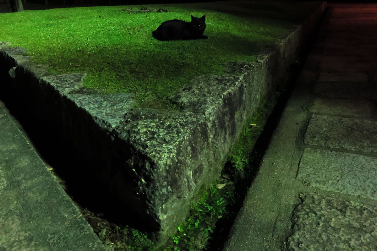 Vコーナー | GANREF