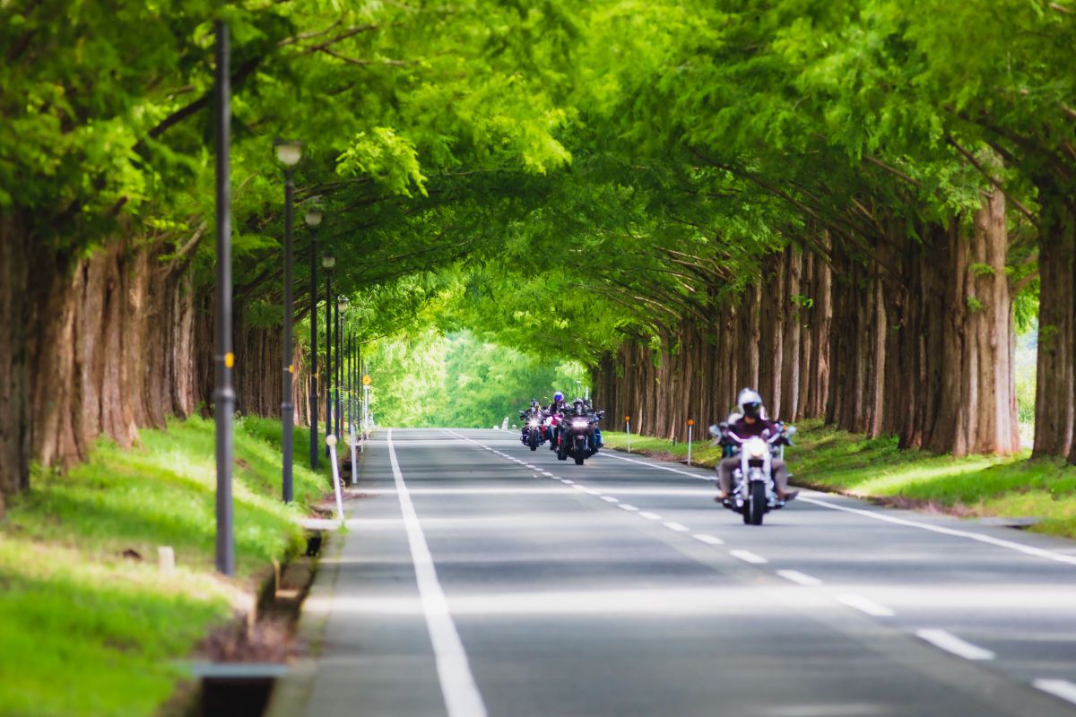 Ride on street | GANREF