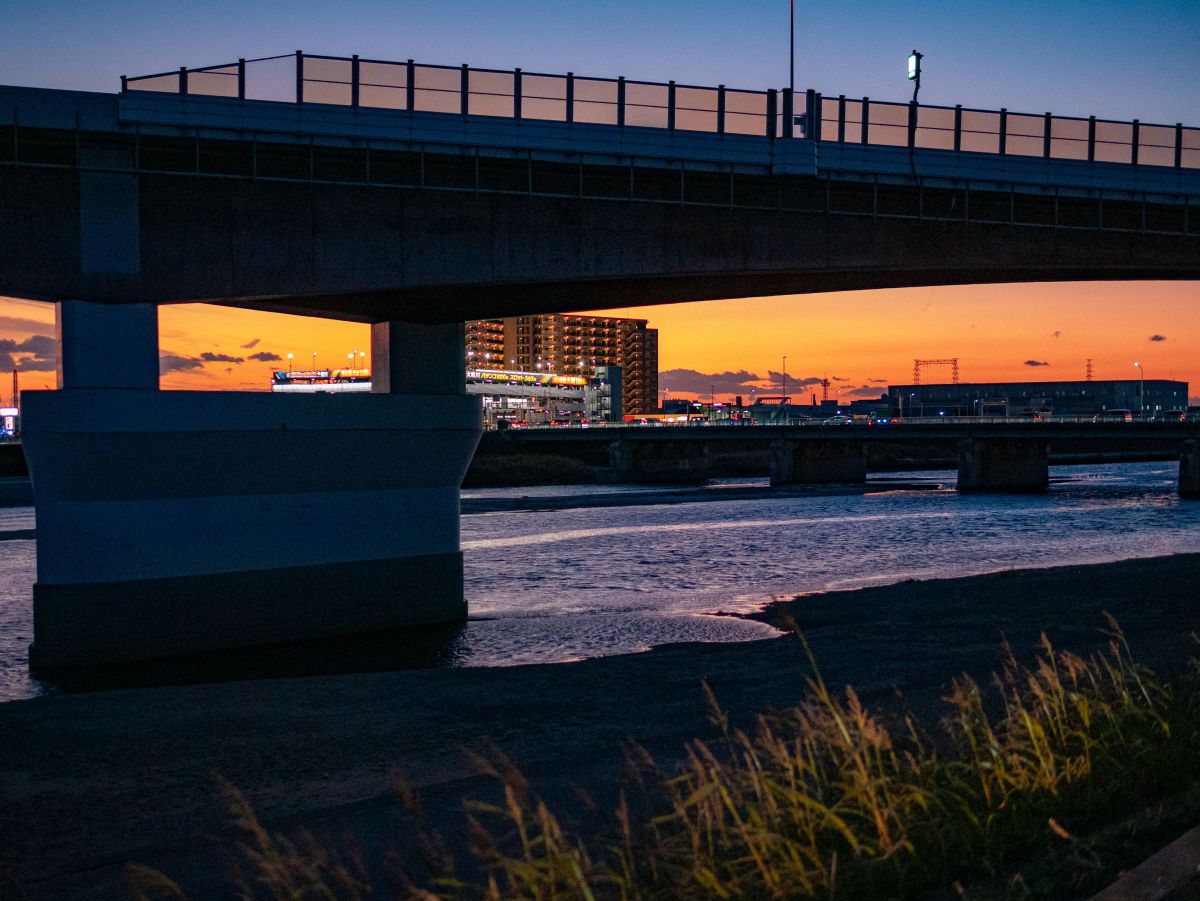 ストライプ | GANREF