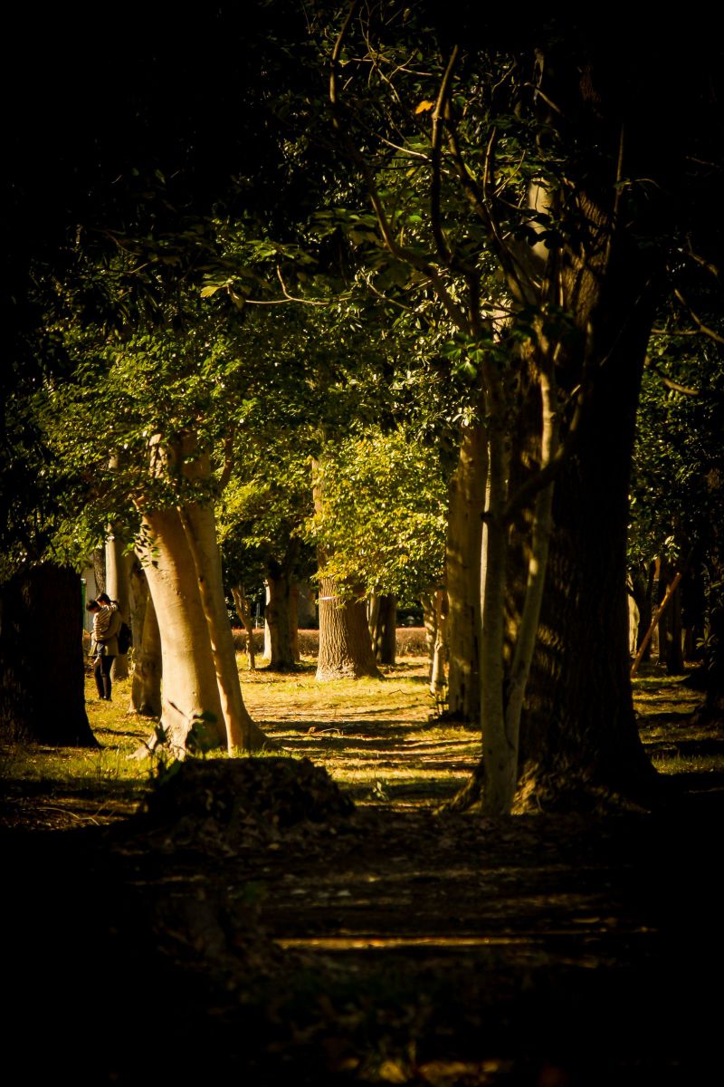 昼下がり | GANREF