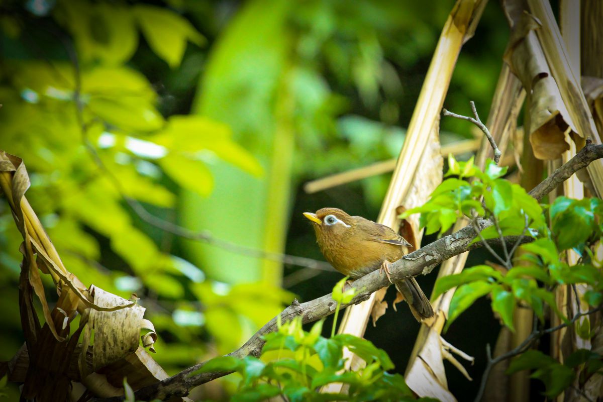 林道にて | GANREF