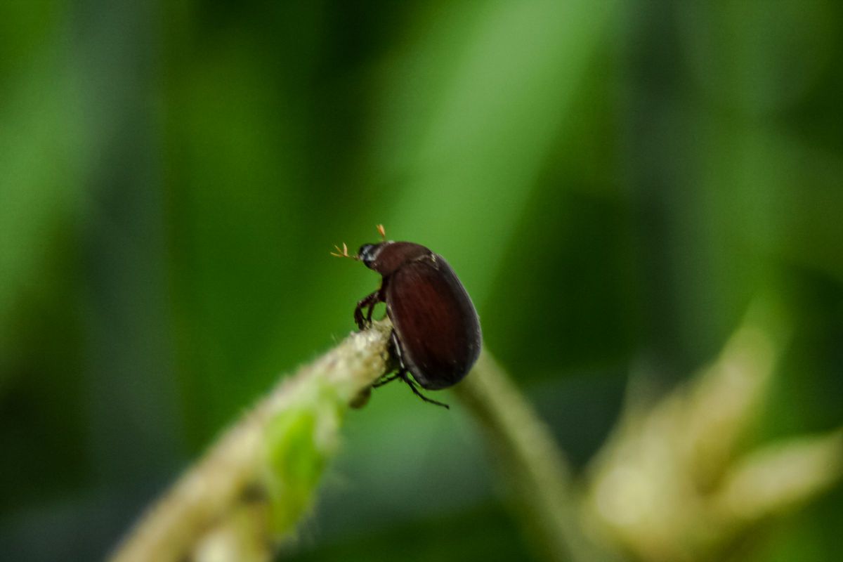 降ったり止んだり | GANREF