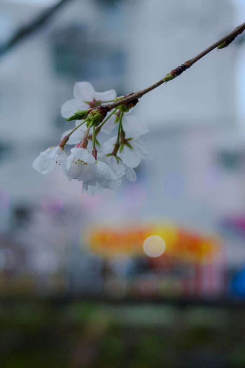 浜の川沿い | GANREF