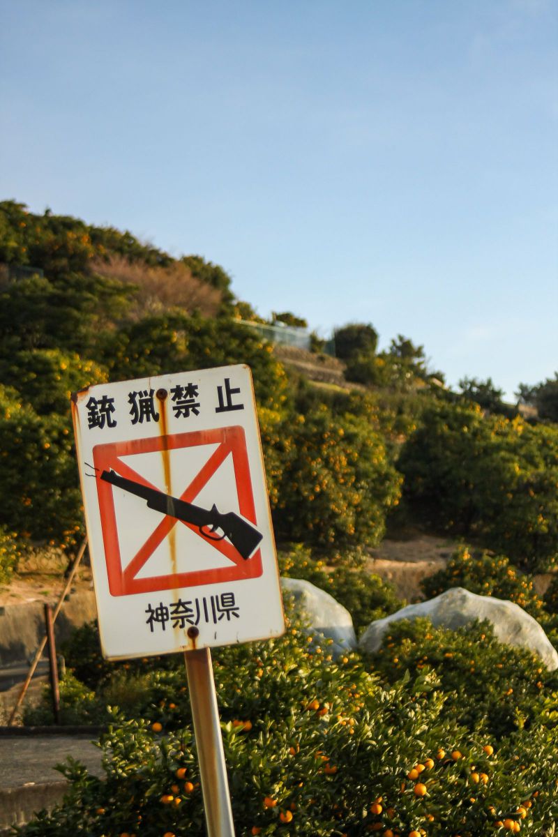 げっ！！🔫 | GANREF