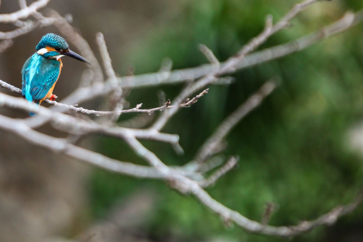 久しぶりに | GANREF