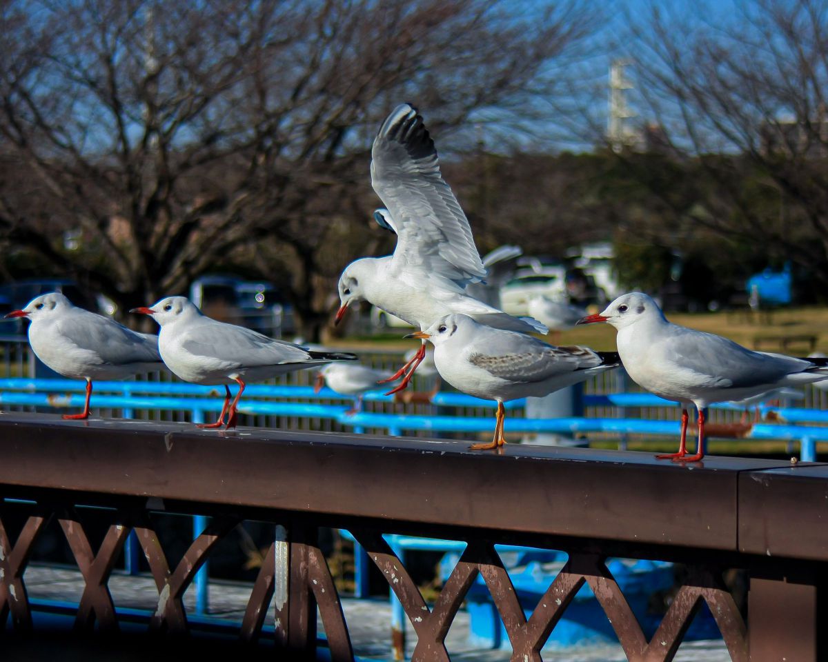 空席あり | GANREF