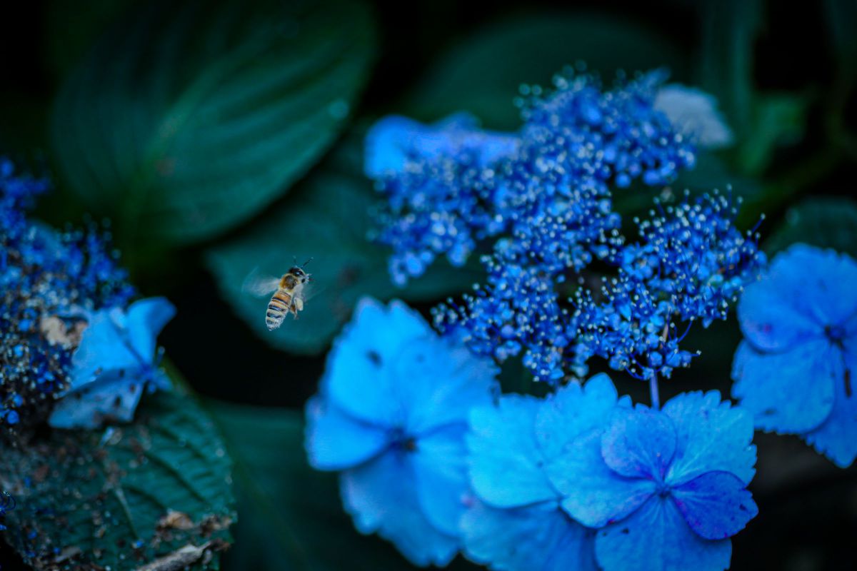 在庫限り🏬 | GANREF