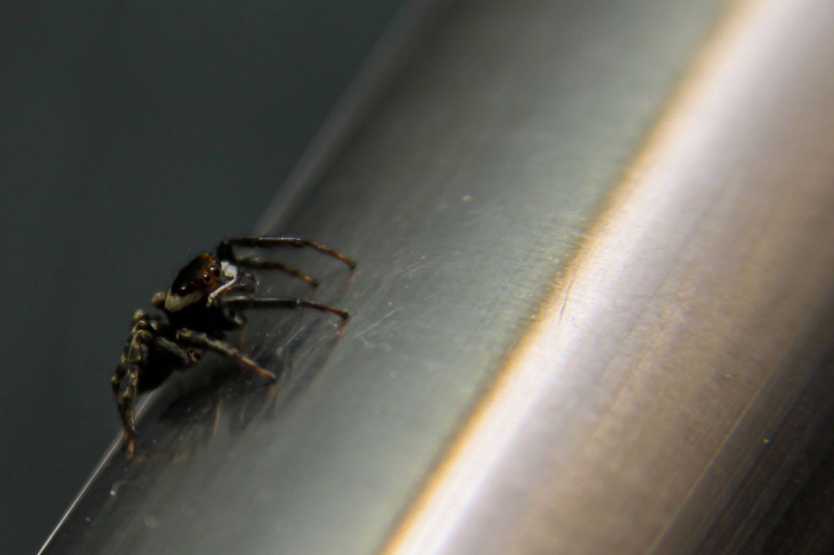 ポカポカ陽気 | GANREF