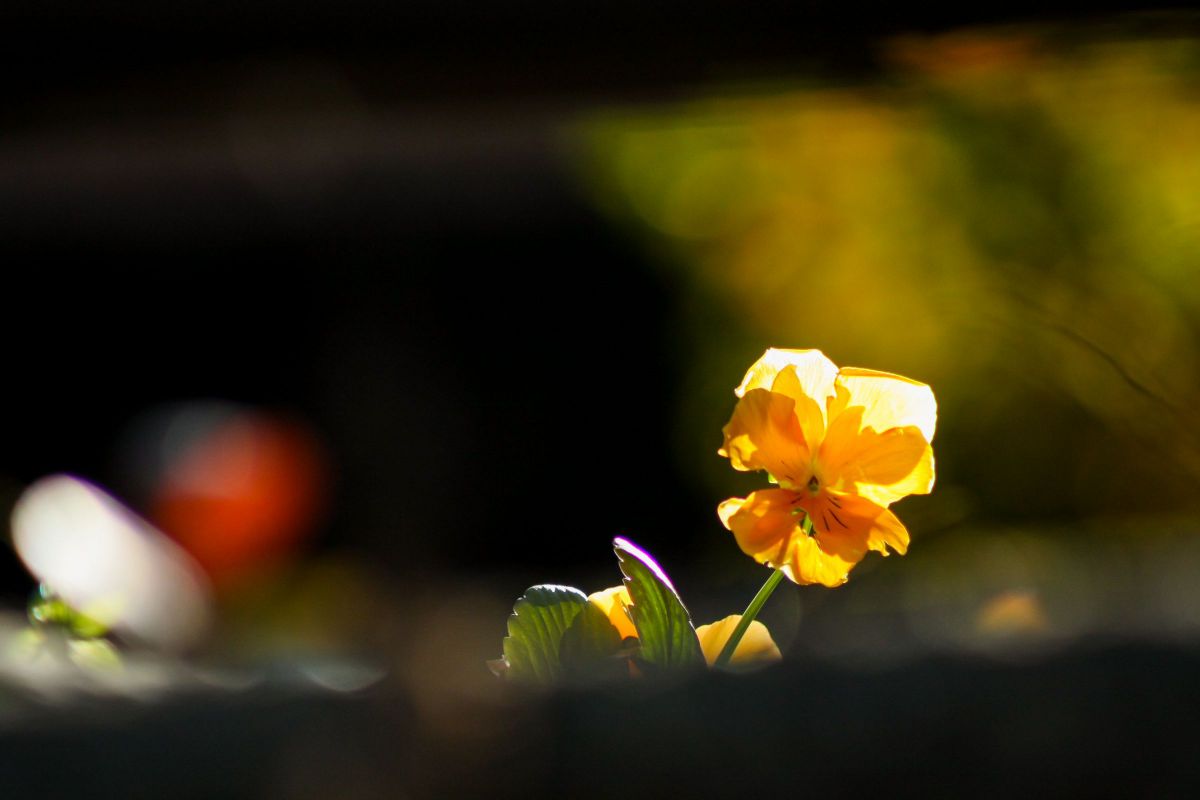 元気よく | GANREF