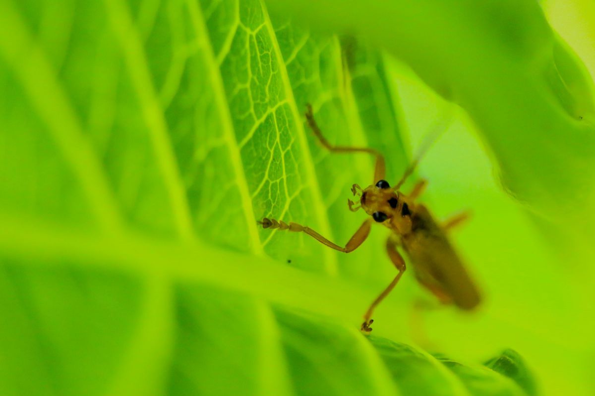 み〜つけた🤭 | GANREF