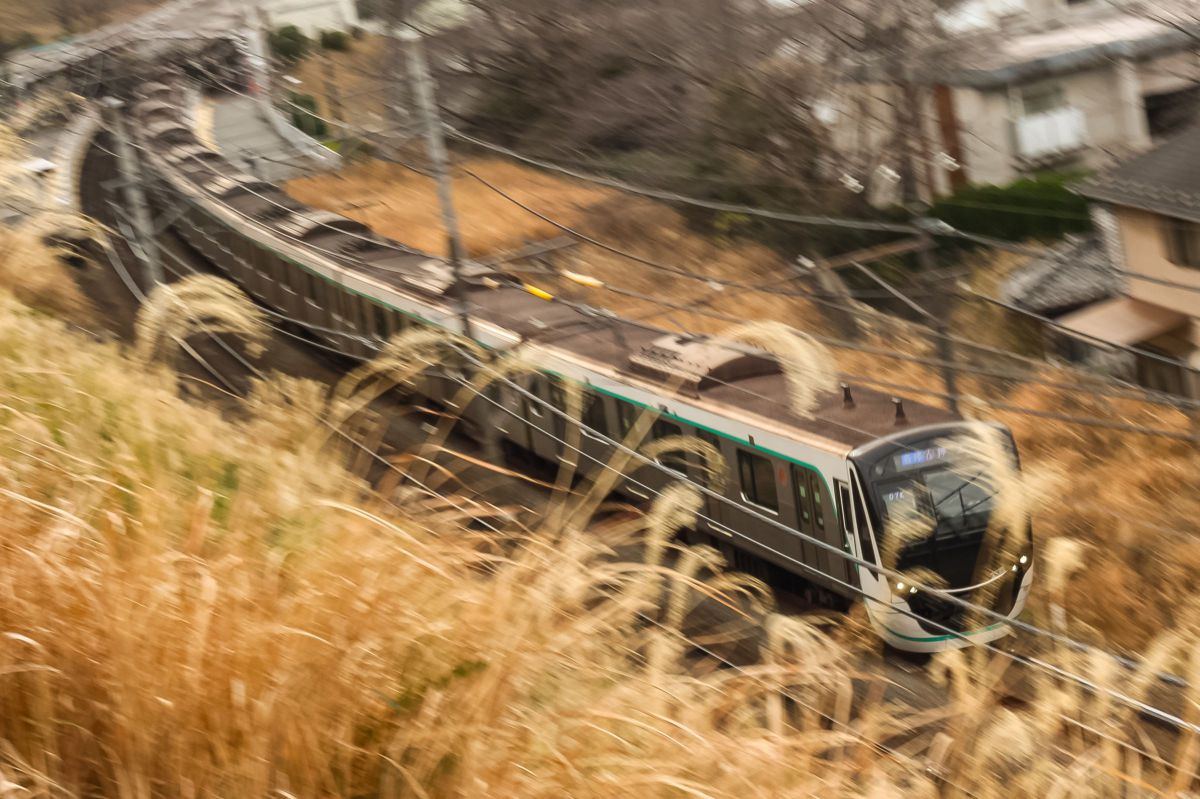 ススキの中を | GANREF