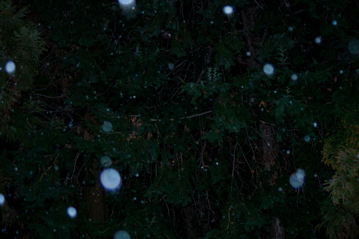 夜明け前 | GANREF