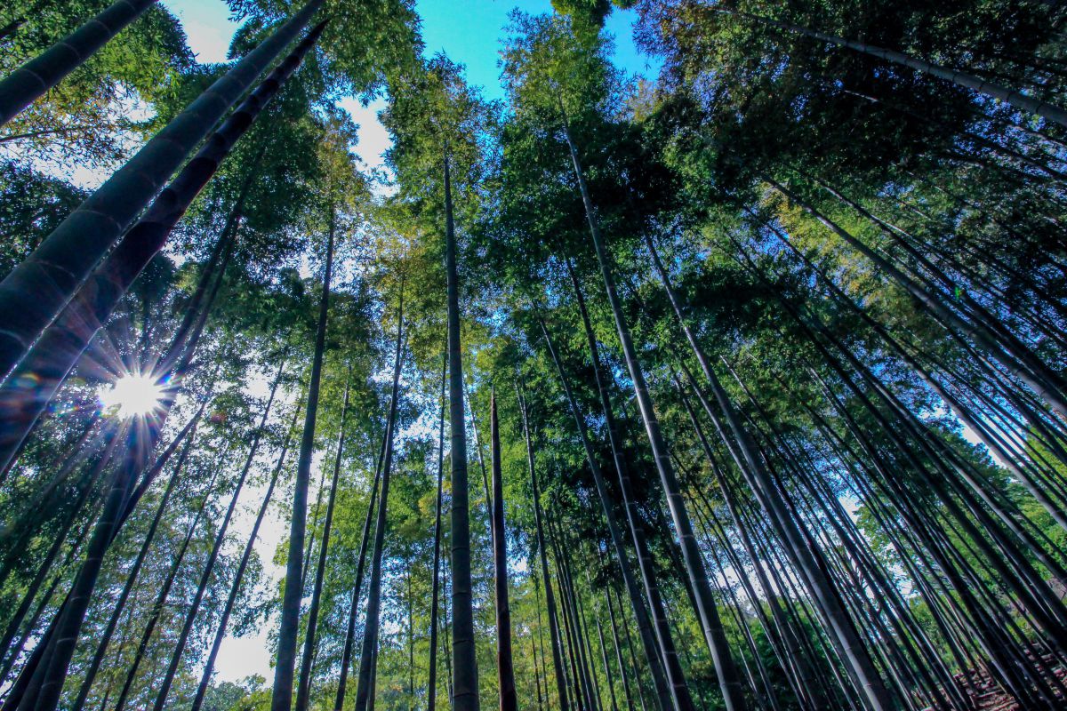 雨のち晴れ | GANREF