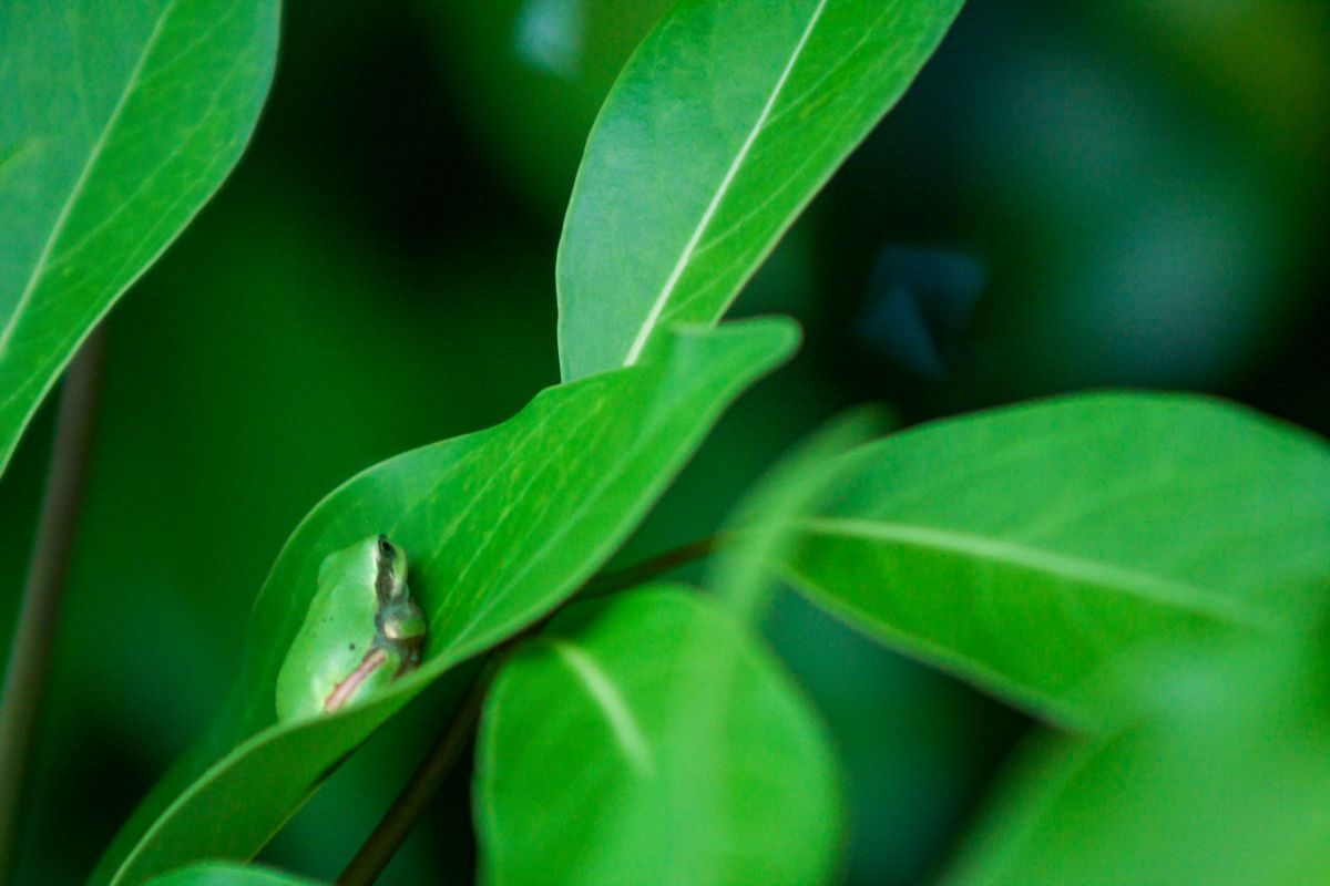 快適空間 | GANREF