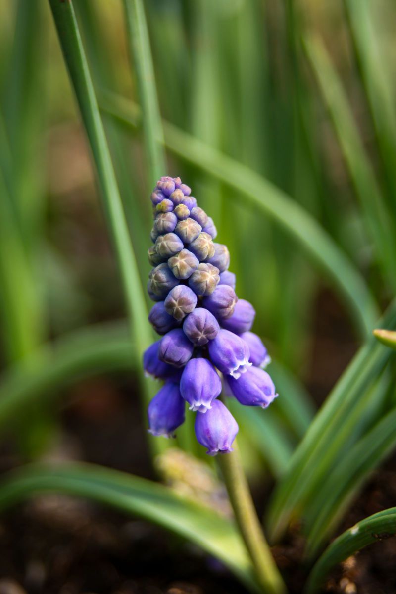 うつむいて… | GANREF