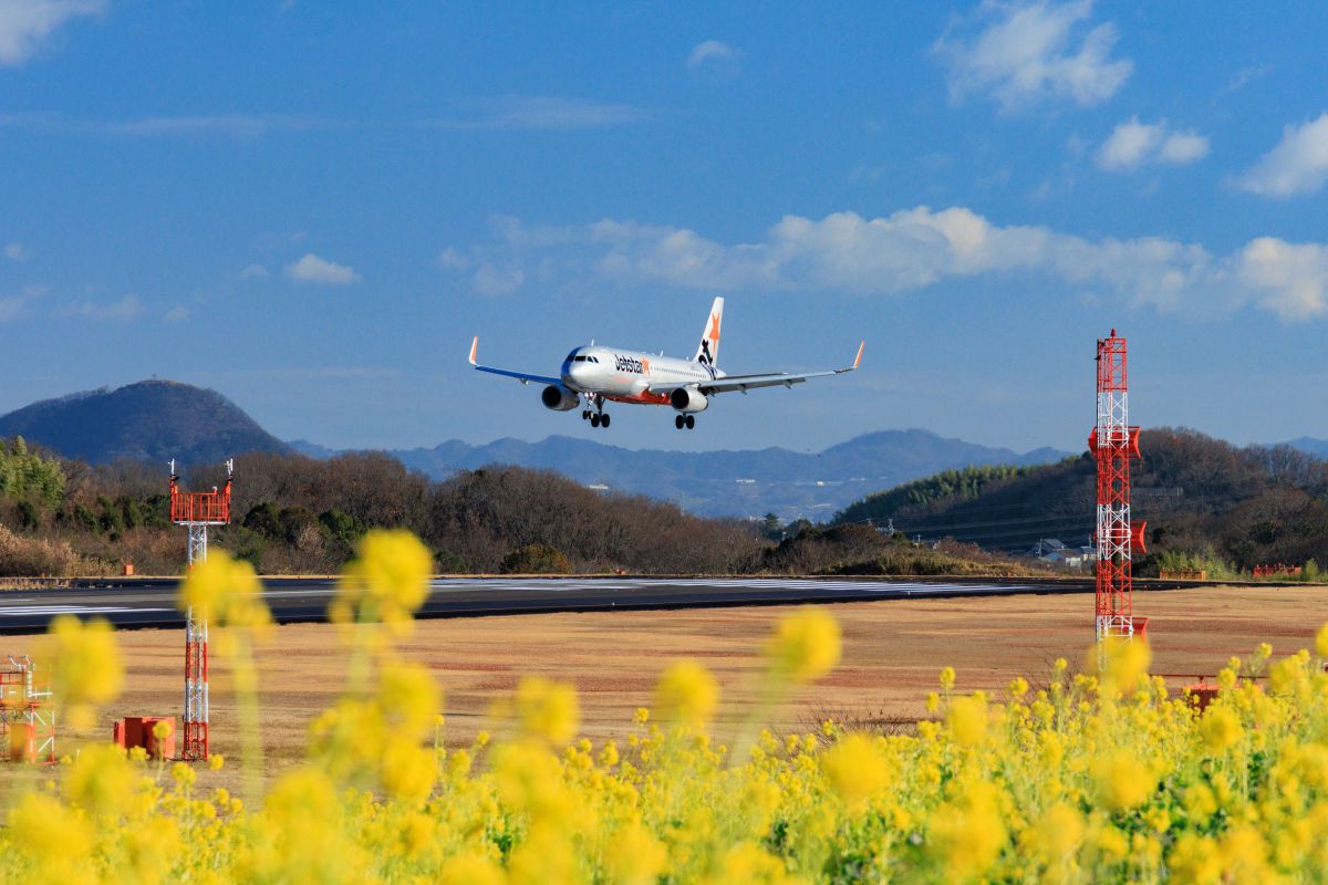 早春の兆し | GANREF