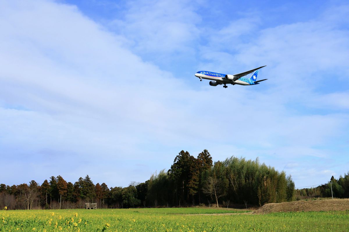 春はすぐそこ。 | GANREF