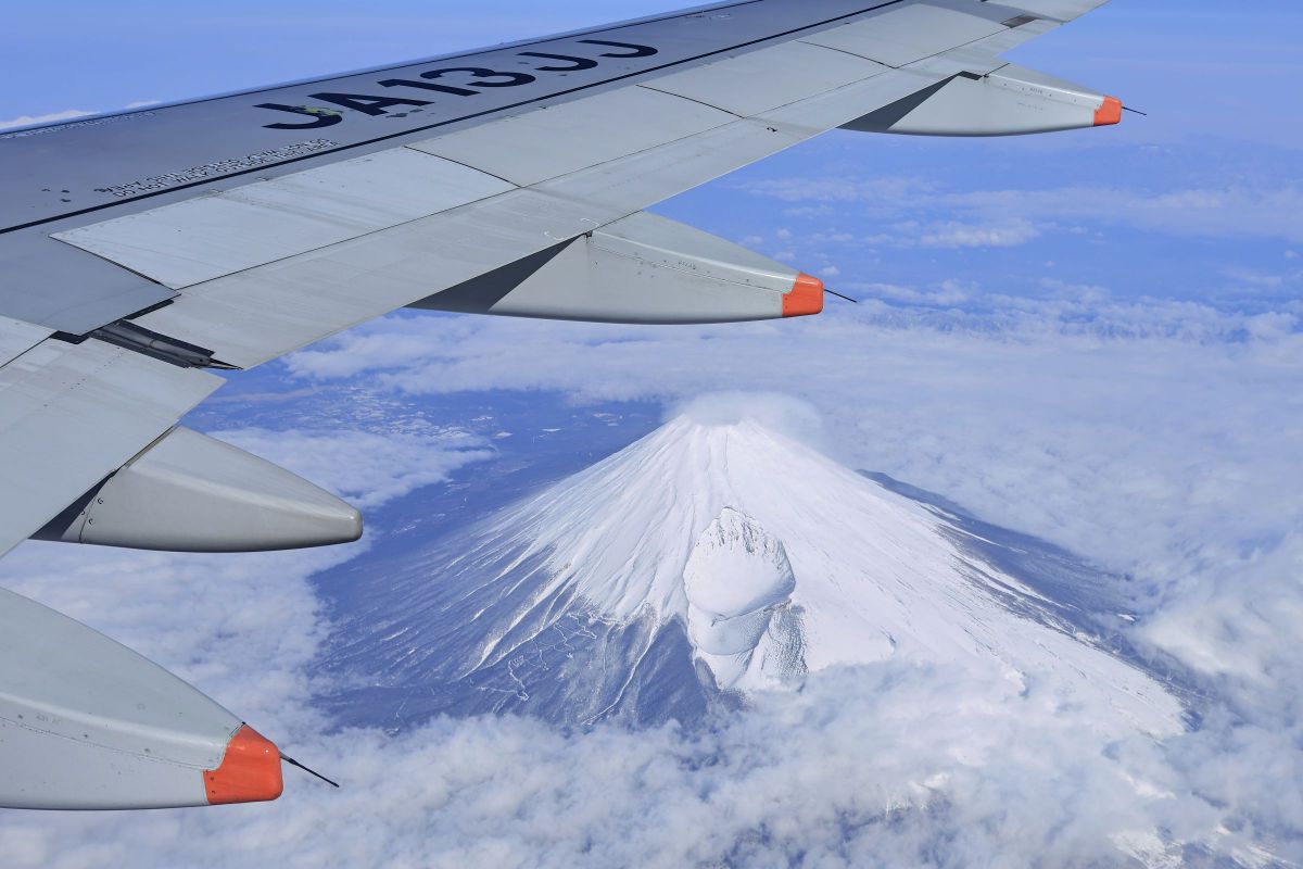 翼の中で聳え立つ。 | GANREF