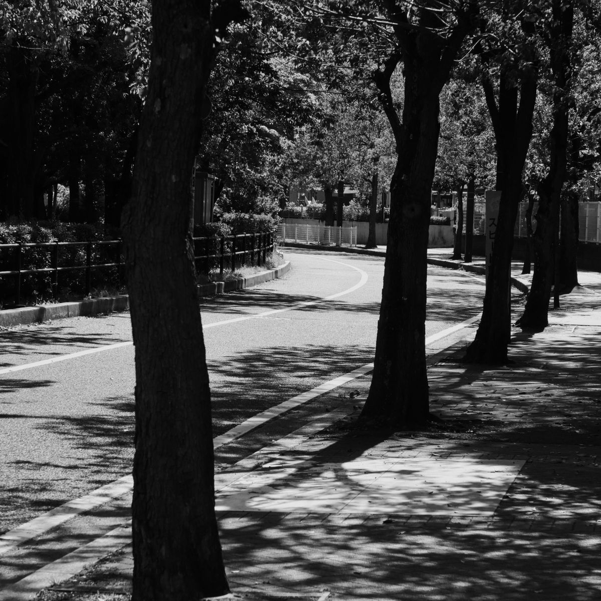 woods see us | GANREF