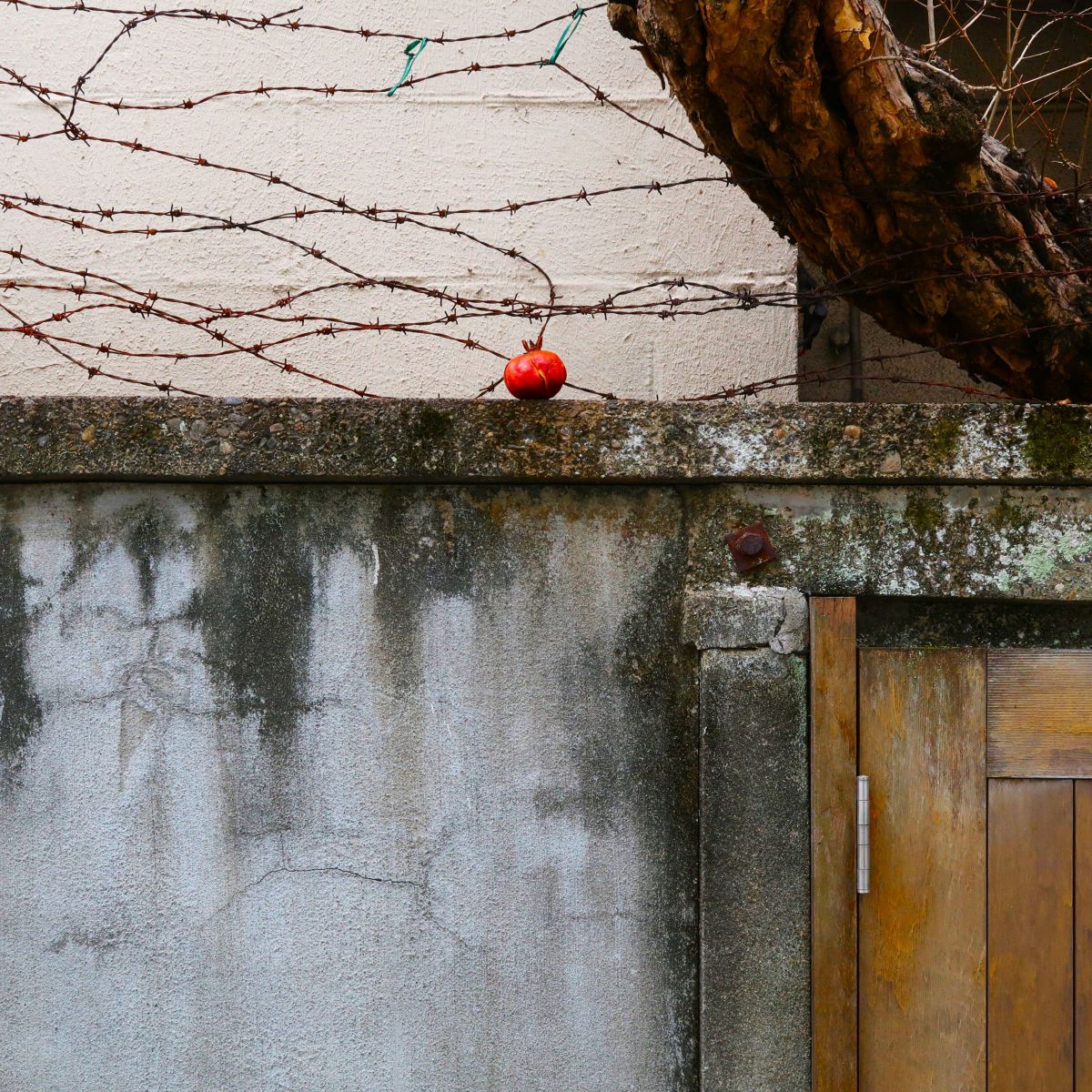 she is there | GANREF