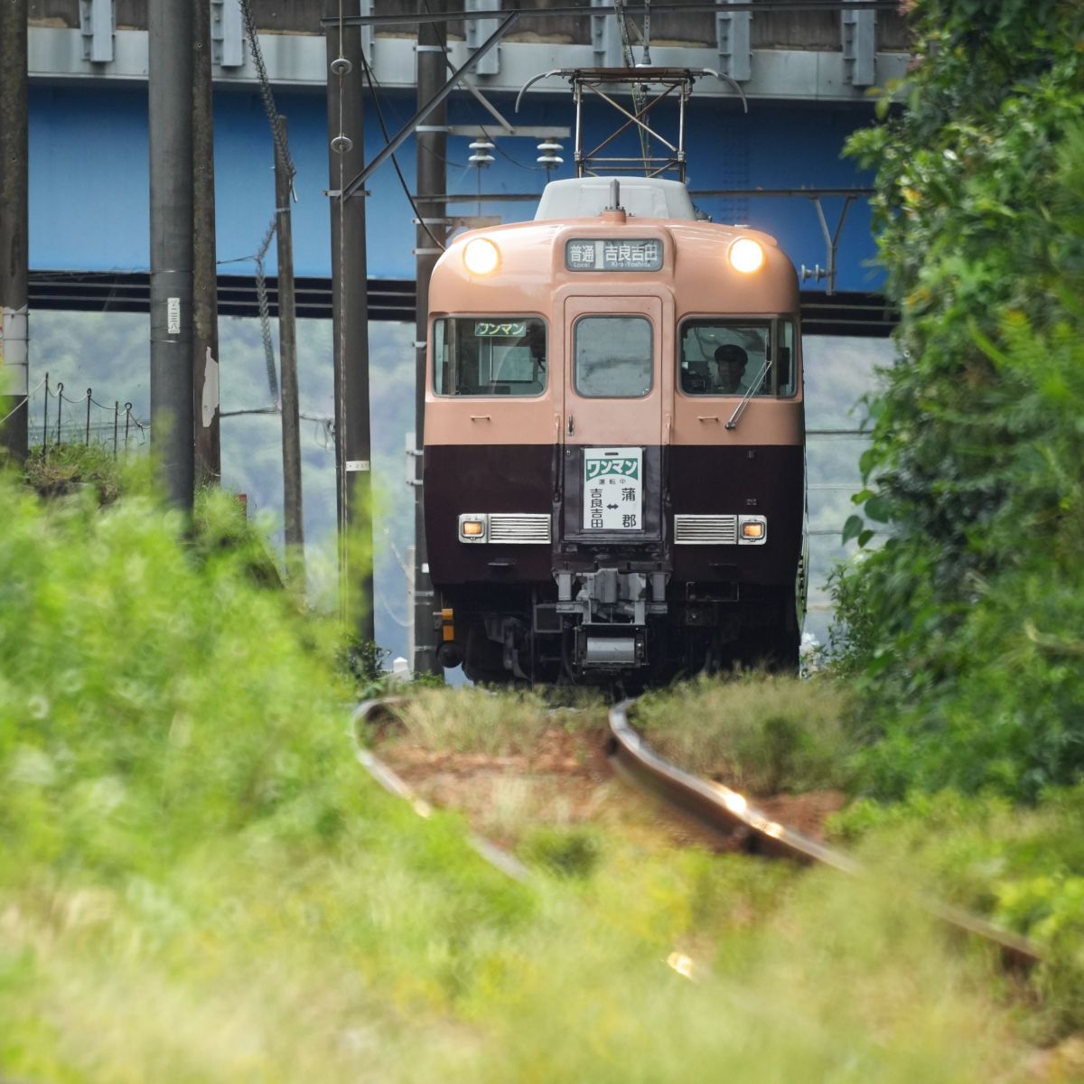 Dream came true | GANREF