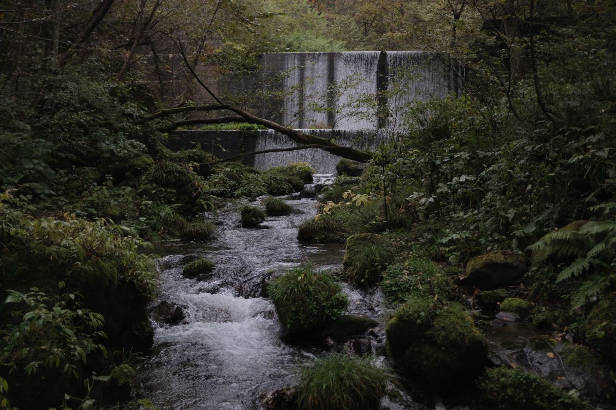 大山 木谷沢渓流 | GANREF