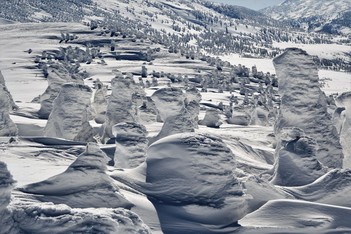 SNOW MONSTERSⅢ | GANREF