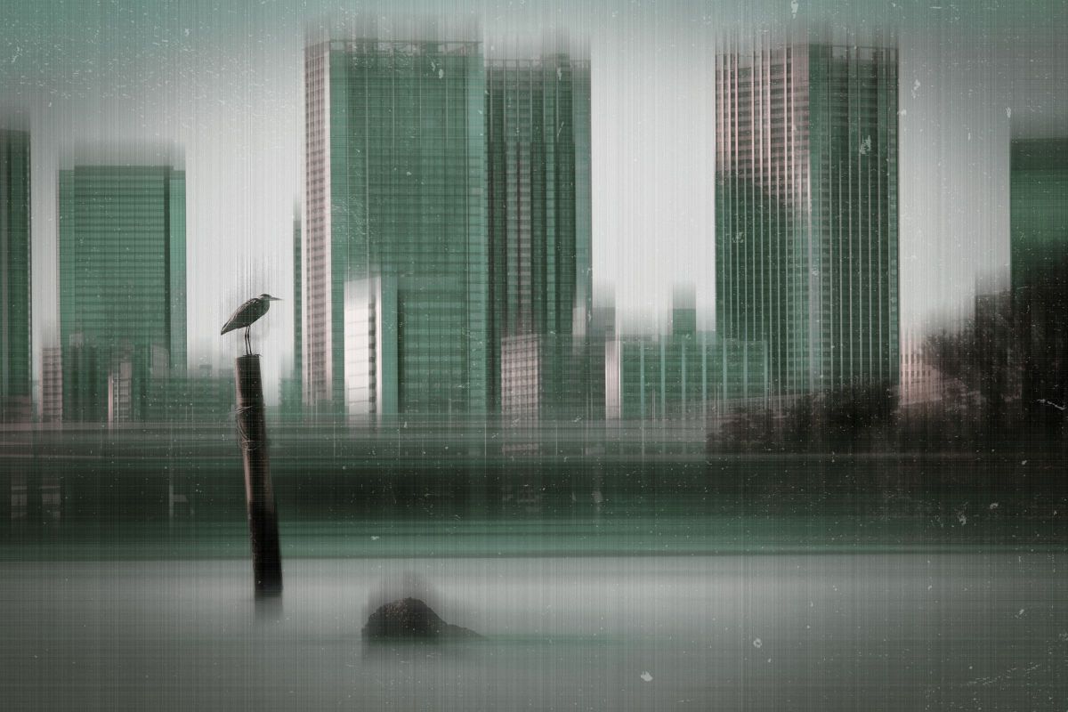 hazy Memories 03 | GANREF