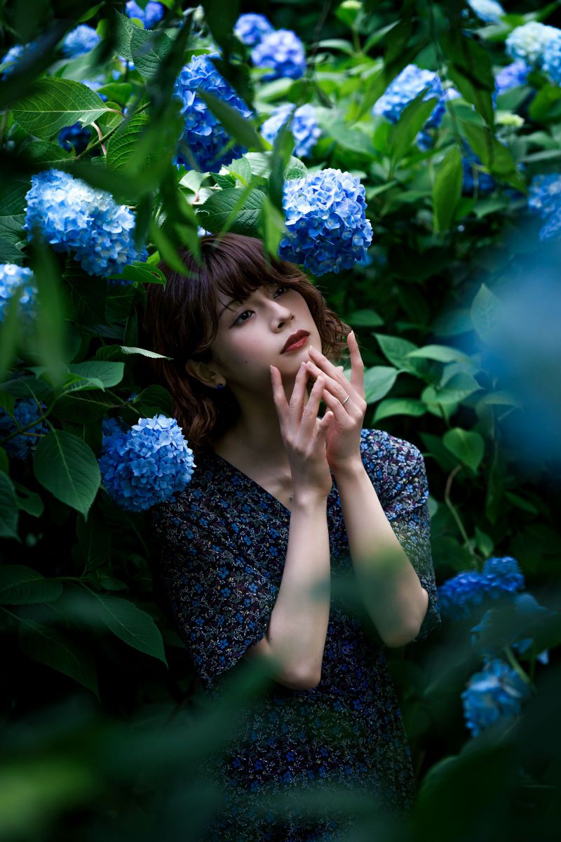 紫陽花 | GANREF