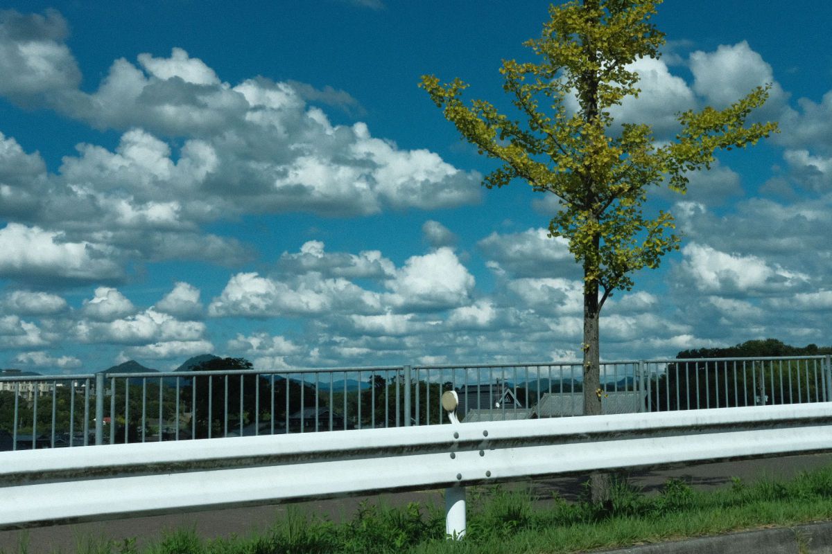 助手席の車窓から♪ | GANREF