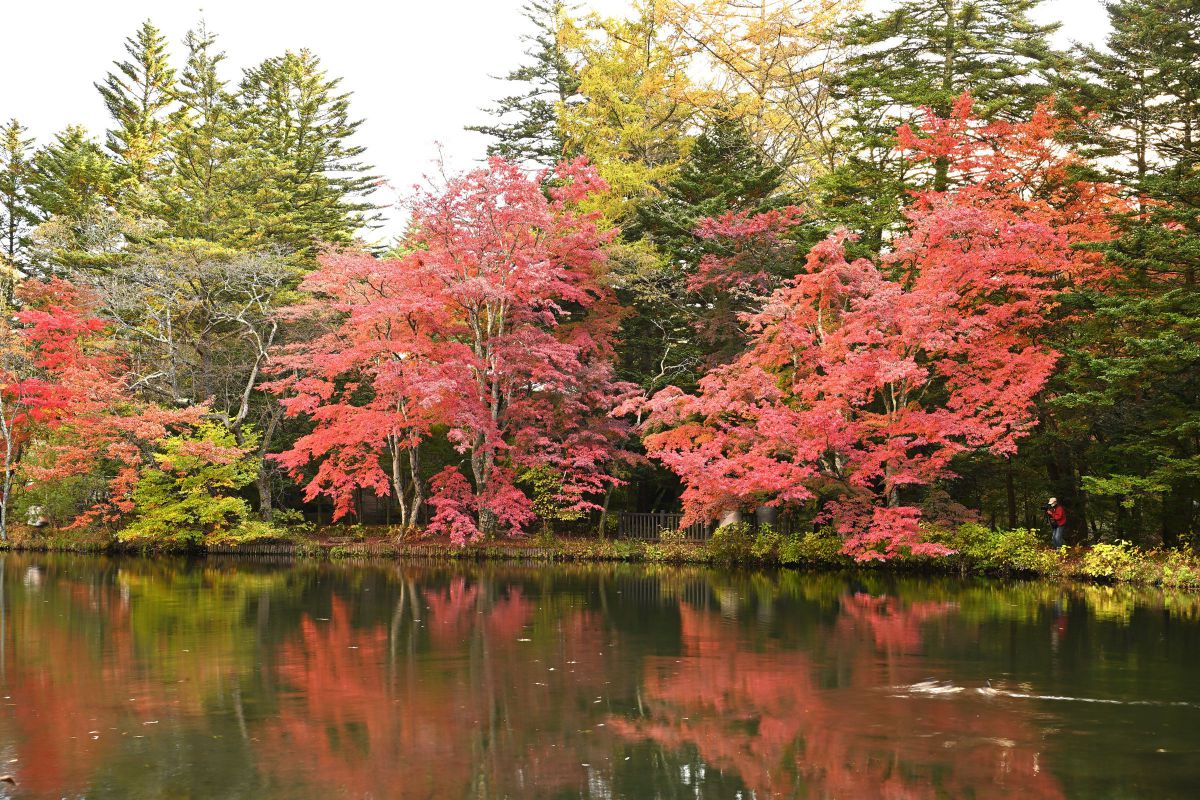 1st ShakeDown @雲場池 | GANREF