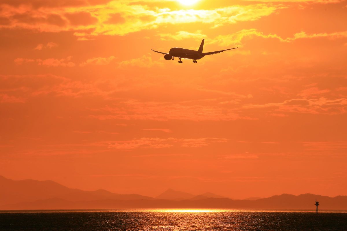 黄昏のB8 | GANREF