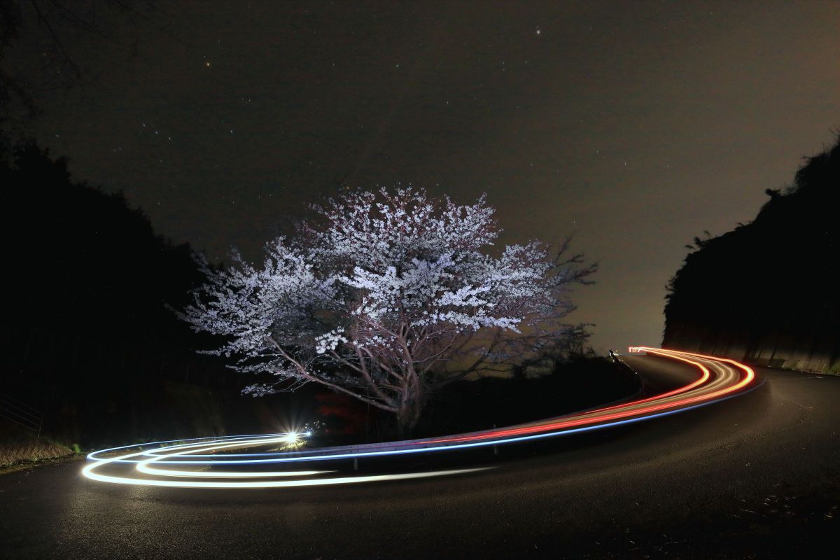 ミステリーサークル2024 | GANREF