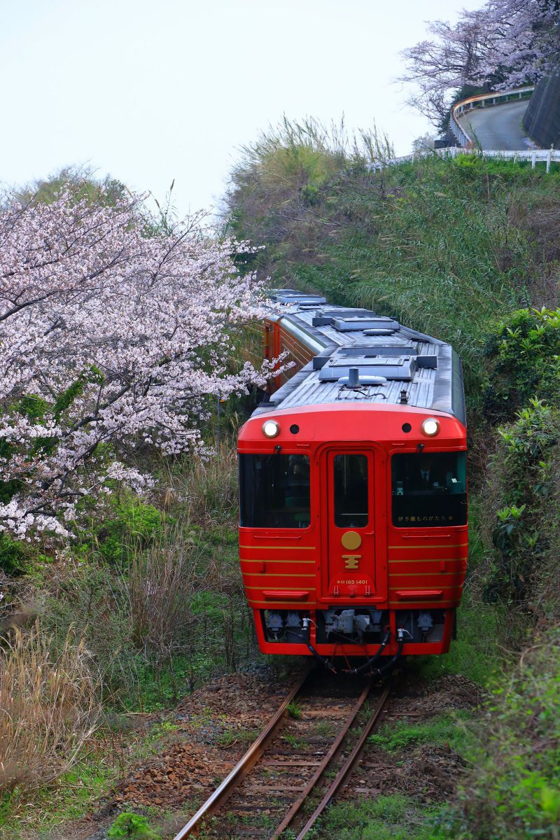 春を往く PartⅡ | GANREF