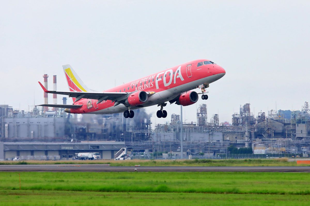 ピンクFDA | GANREF