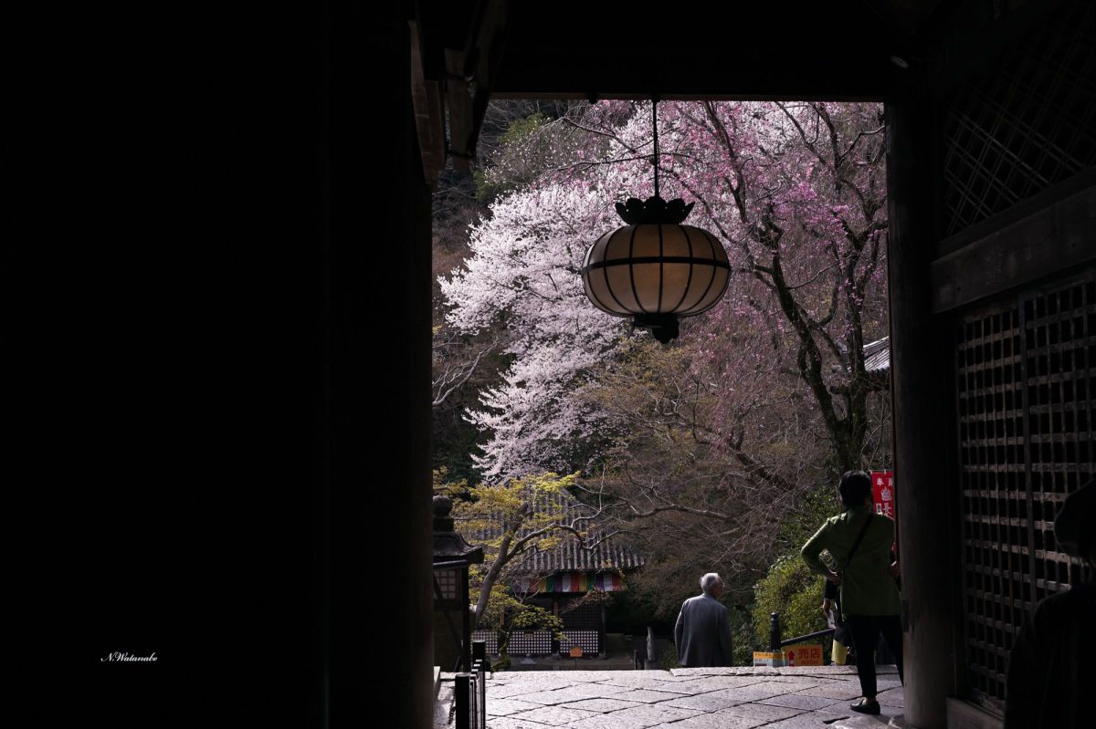 本堂からの行先・・ | GANREF