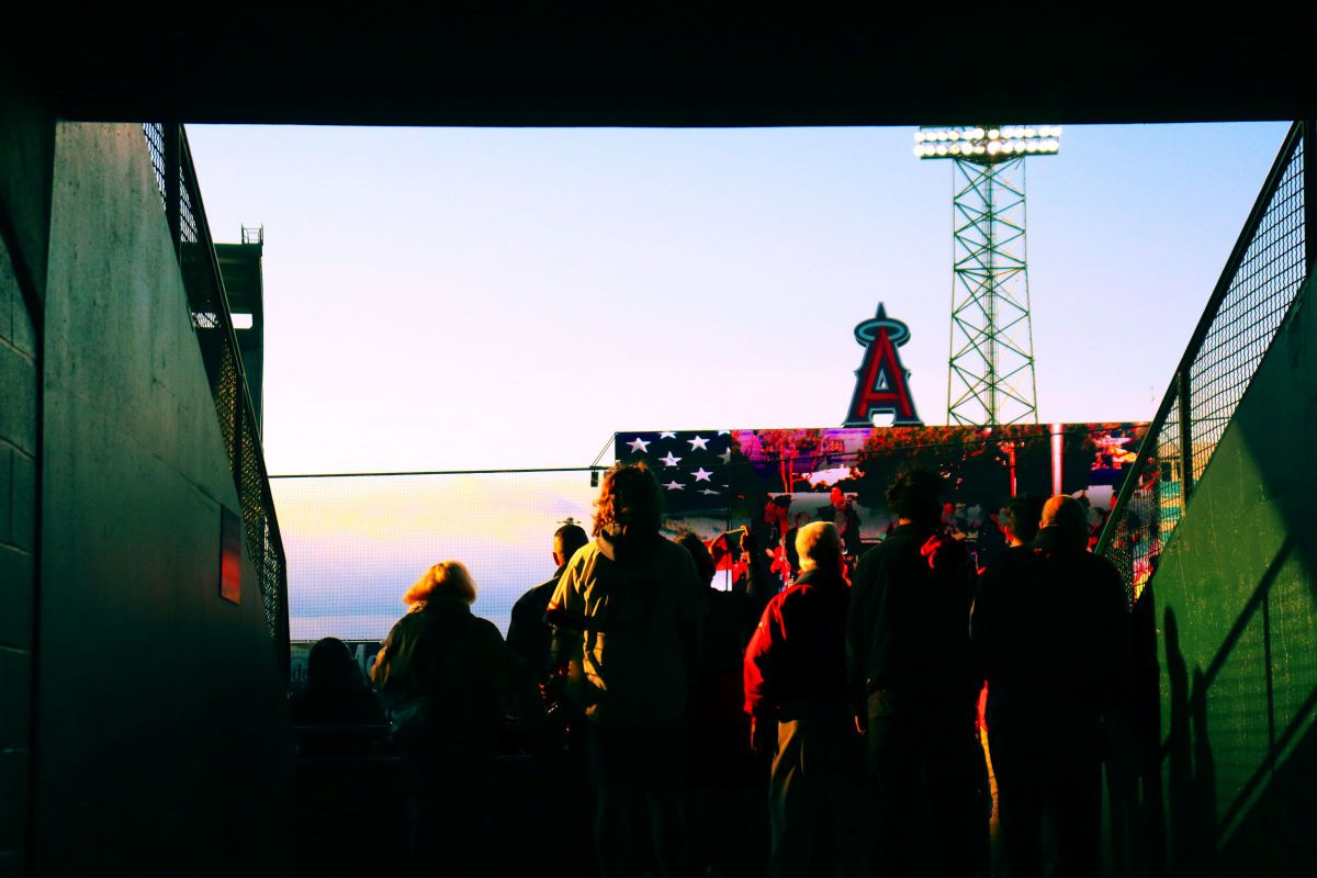 Take me out to the ball game! | GANREF