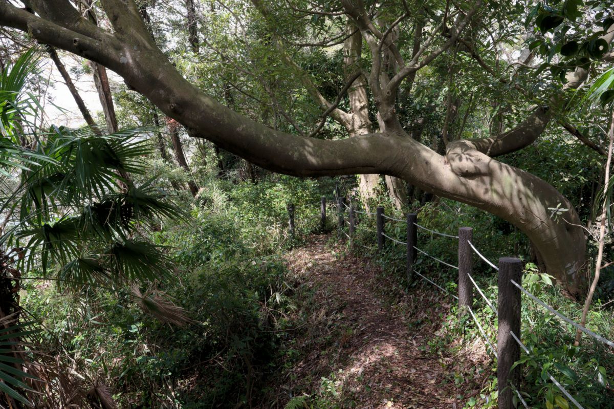 阿尾城跡を目指して Part.4 | GANREF