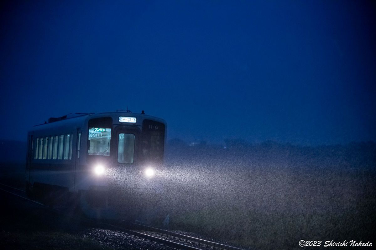 雨の夜の思い出 | GANREF