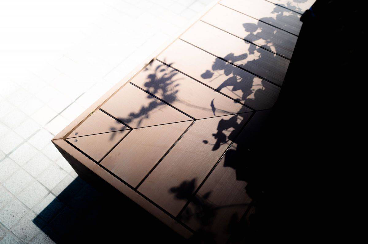 botanical shadow | GANREF