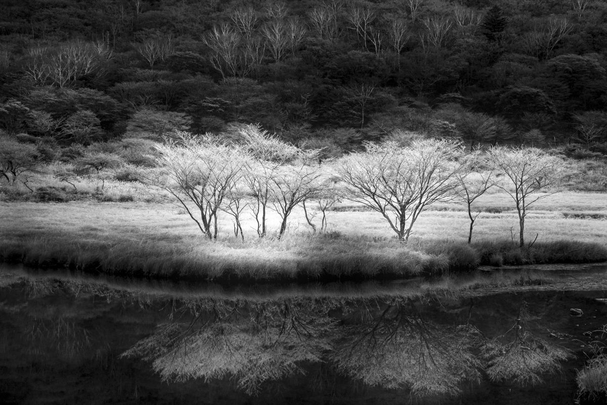 White dancer | GANREF