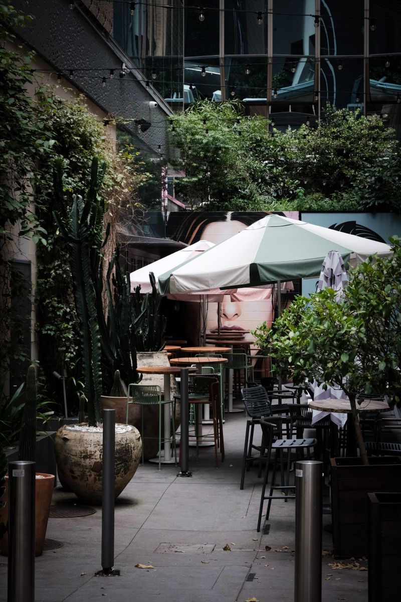 I'm looking at you... | GANREF