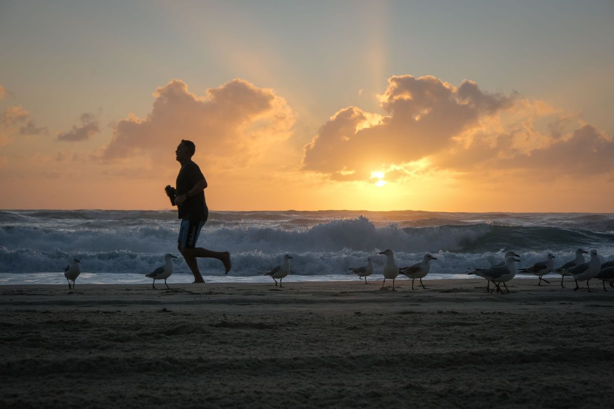 Morning routine | GANREF